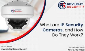 What Are IP Security Cameras | A Complete Guide - Revlight
